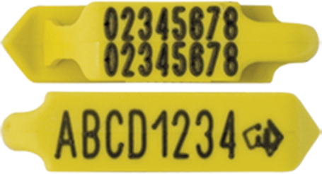 Sheep and Goat Tags Archives - Allflex Livestock Intelligence Australia