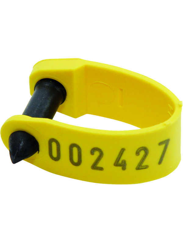 Sheep and Goat Tags Archives - Allflex Livestock Intelligence Australia