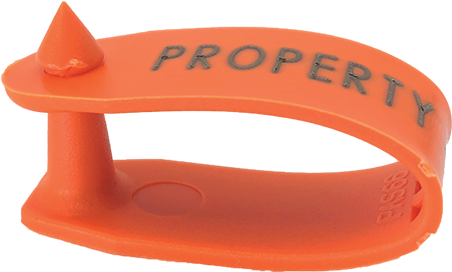 Sheep and Goat Tags Archives - Allflex Livestock Intelligence Australia