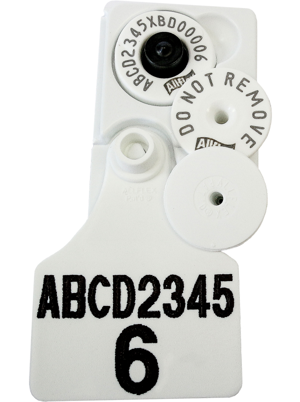 Cattle Tags Archives - Allflex Livestock Intelligence Australia