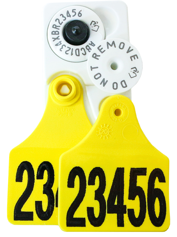 NLIS CATTLE TAGS Archives - Allflex Livestock Intelligence Australia