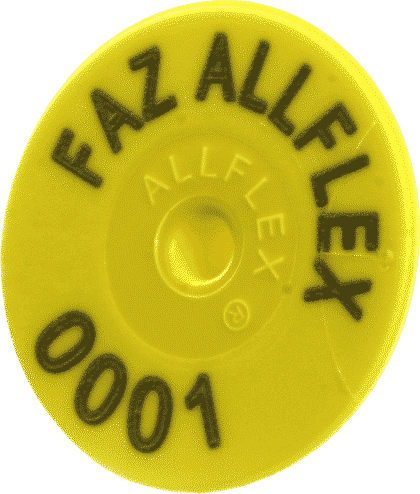 Macho Pequeno - Allflex Brasil