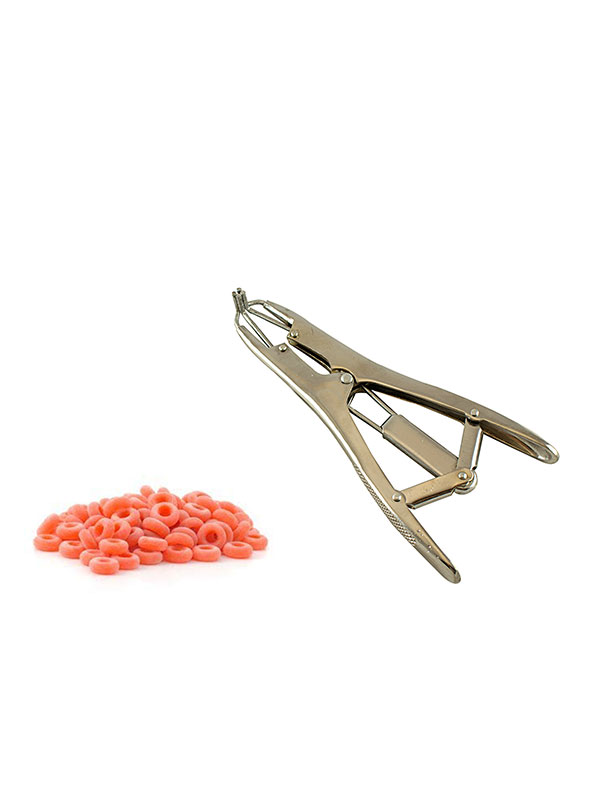 Castration & Docking - Allflex Livestock Intelligence Ireland