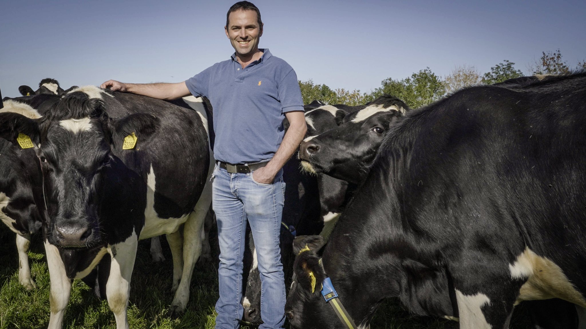 Home - Allflex Livestock Intelligence Ireland