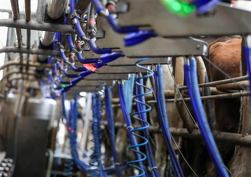 SenseHub™ SCC Sensors - Allflex Livestock Intelligence Ireland