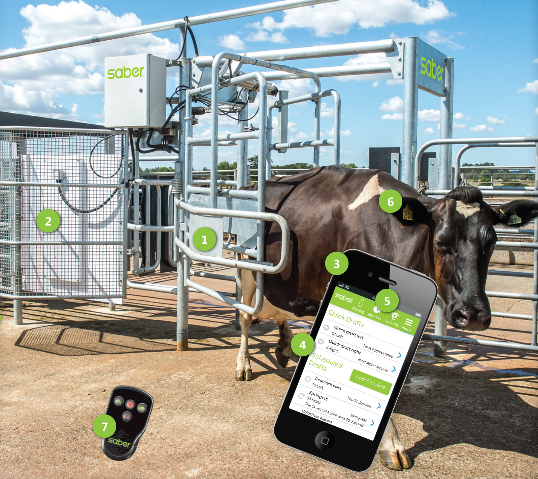 Drafting Gates - Allflex Livestock Intelligence Ireland