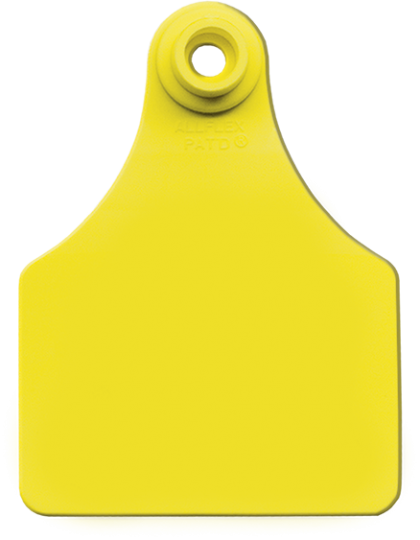 Visual Identification - Allflex Livestock Intelligence India