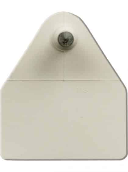 Cattle Small Male 11 - Allflex Livestock Intelligence India