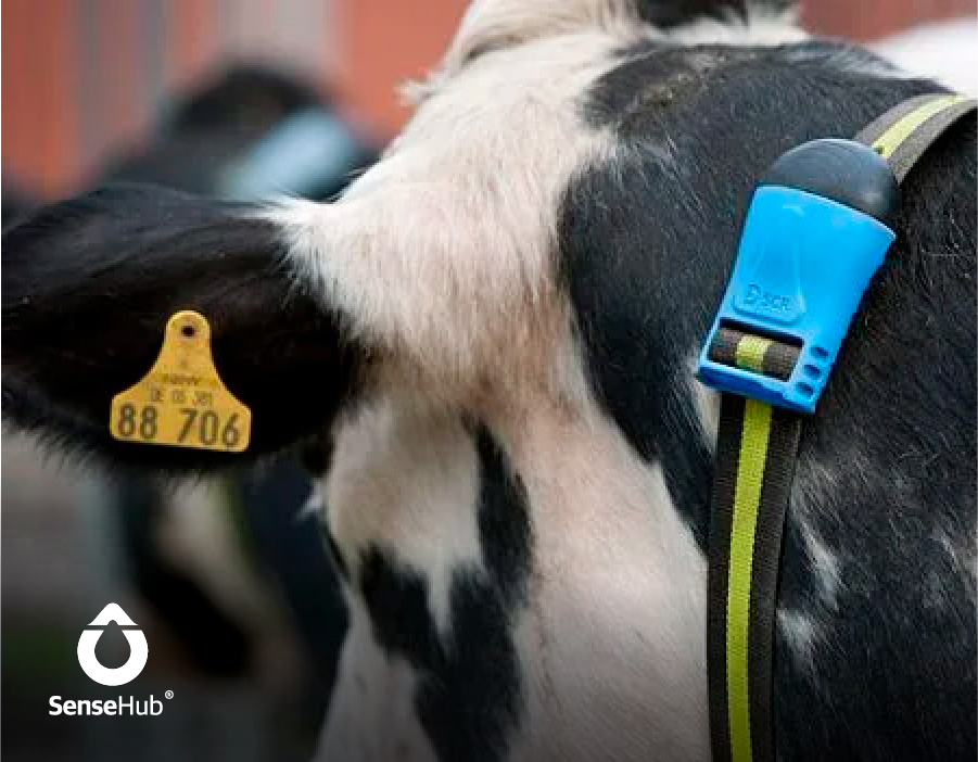 Monitoreo de Ganado Lechero - Allflex Livestock Intelligence Mexico