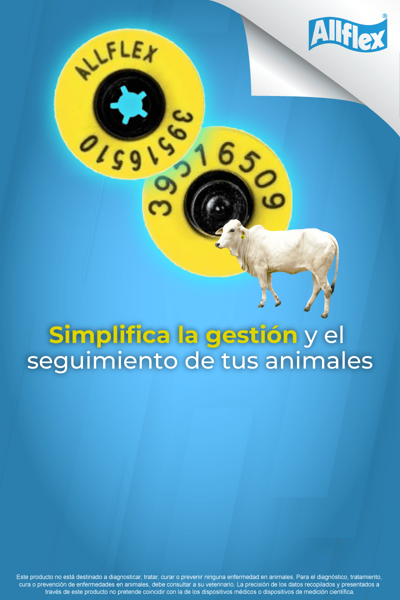 Allflex México