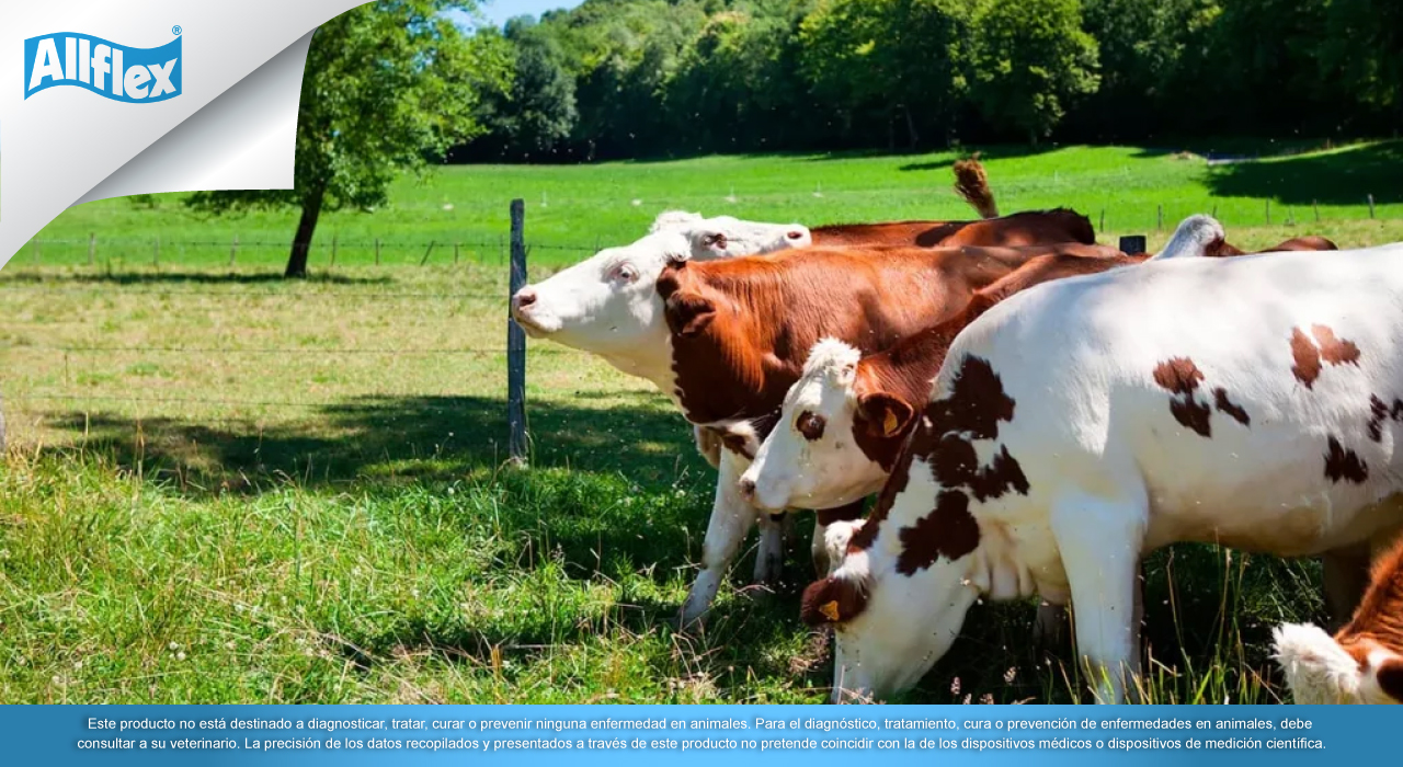 Tendencias en ganadería sostenible para 2025 - Allflex Livestock Intelligence Mexico