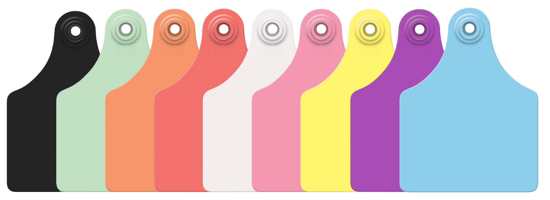 Global Maxi Female - Allflex | Livestock Identification Tags, Tissue ...