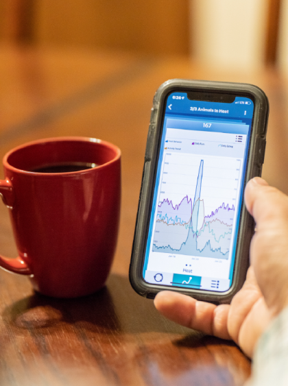 SenseHub™ Beef - Allflex | Livestock Identification Tags, Tissue ...