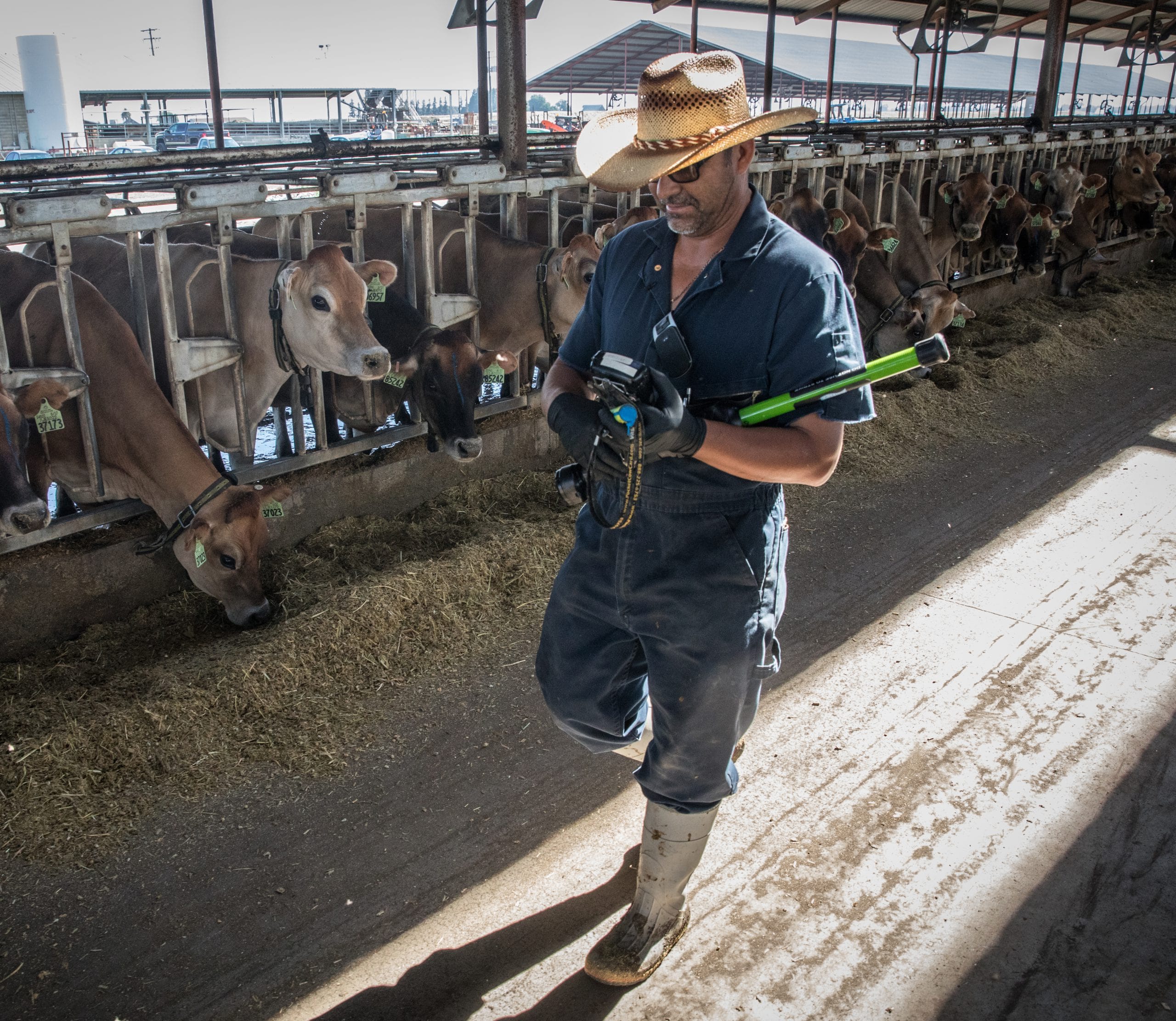 EID Time is Now - Allflex | Livestock Identification Tags, Tissue ...