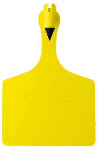 A-Tag Feedlot V2 - Allflex | Livestock Identification Tags, Tissue ...