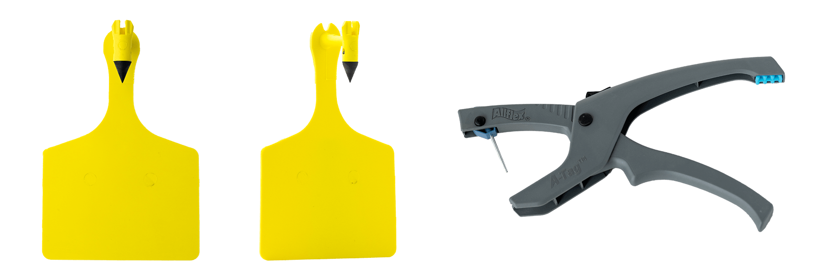 News and Events - Allflex | Livestock Identification Tags, Tissue ...