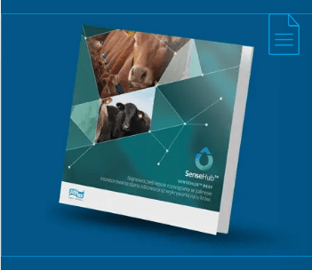 Do pobrania | Allflex