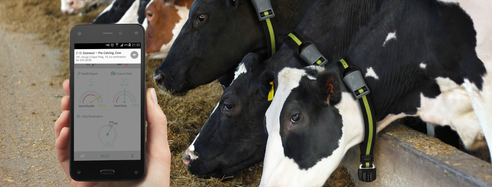 Livestock Monitoring - Allflex Livestock Intelligence South East Asia