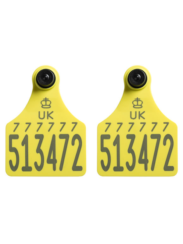 Visual Identification - Allflex Livestock Intelligence United Kingdom