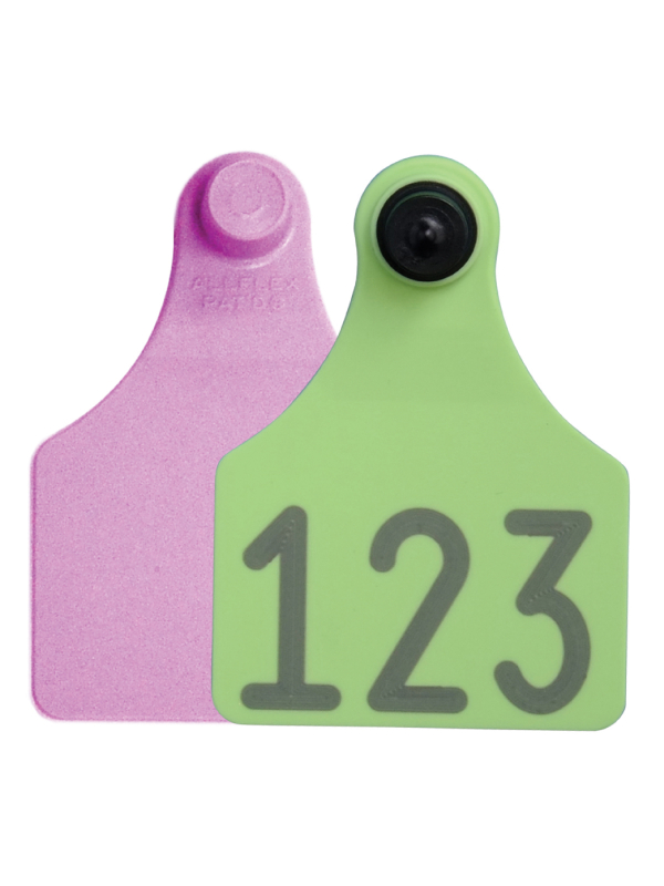 Management Tags - Allflex Livestock Intelligence United Kingdom