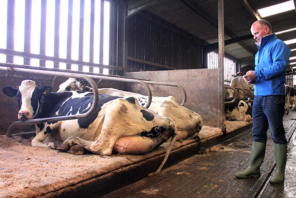 Livestock Identification and Herd Monitoring Systems by Allflex ...