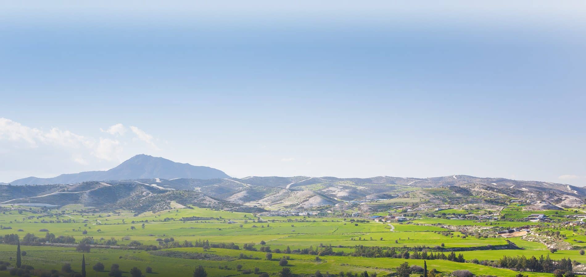 Tissue Sampling [Helping Farmers Make Intelligent Decisions]