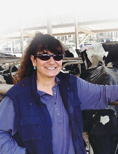 livestock identification and tracing system - Allflex Livestock ...