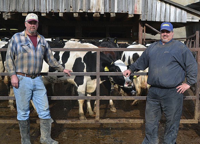 Bowman Dairy Farm, Indiana - Allflex Livestock Intelligence Global