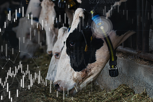 The importance of data-driven management in livestock food production
