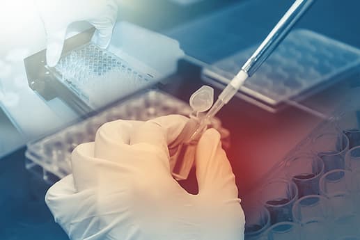 Genetic Testing in Livestock Management – Then, Now, and Tomorrow ...