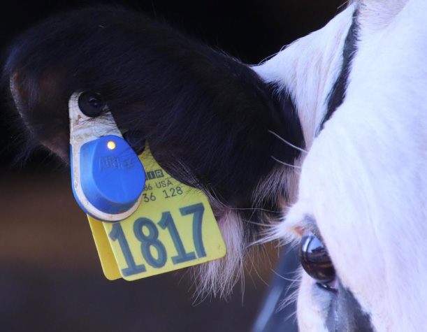 DataFlow II - Allflex Livestock Intelligence Global